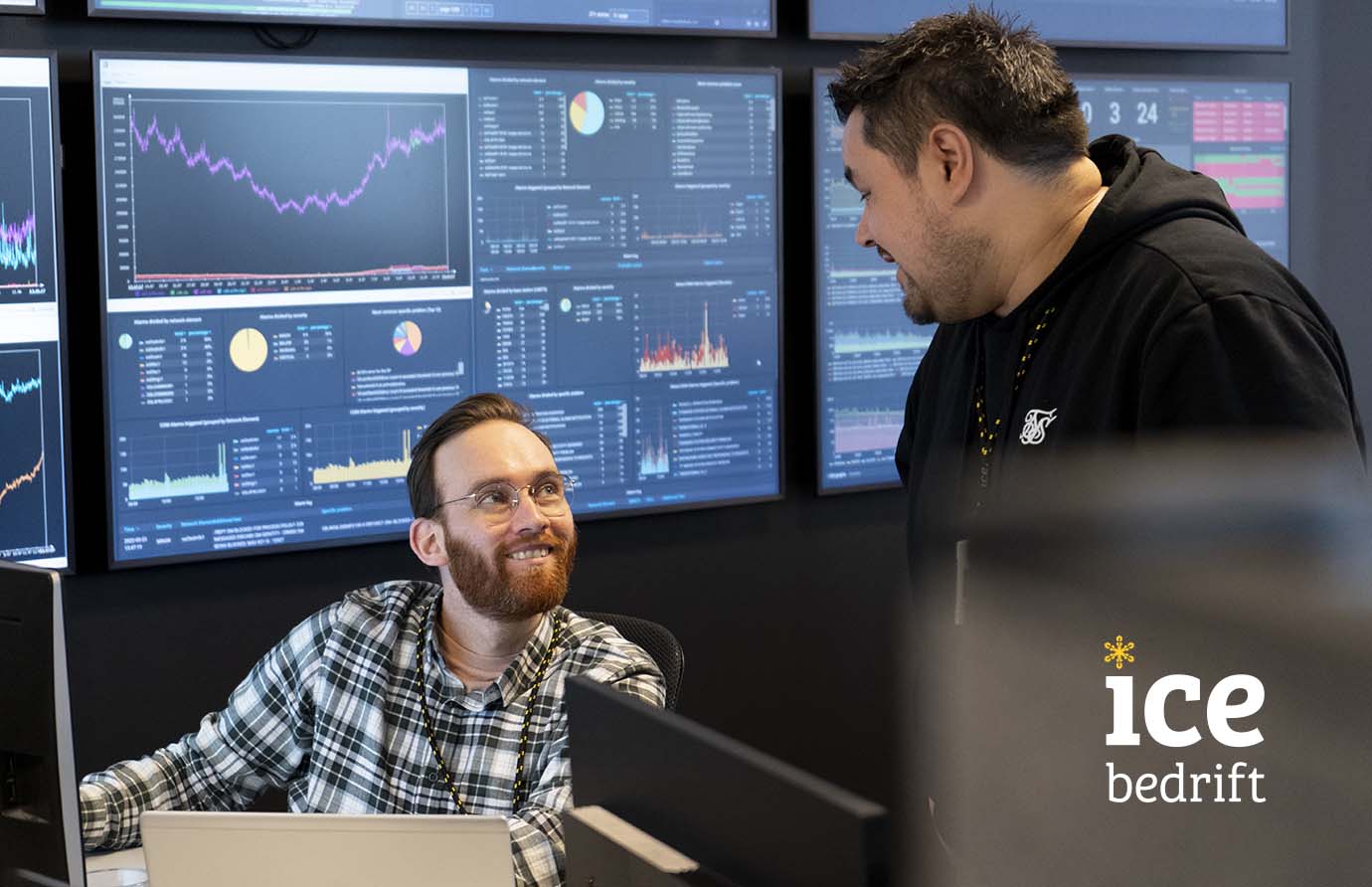 IT-sikkerhet: Dette betyr uttrykkene - ice - ice