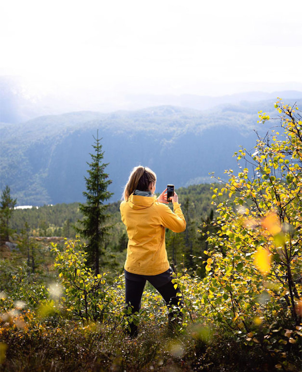 ice+: Alt du trenger å vite om vårt eget mobilnett - ice