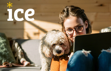 Datapakker utland - ice